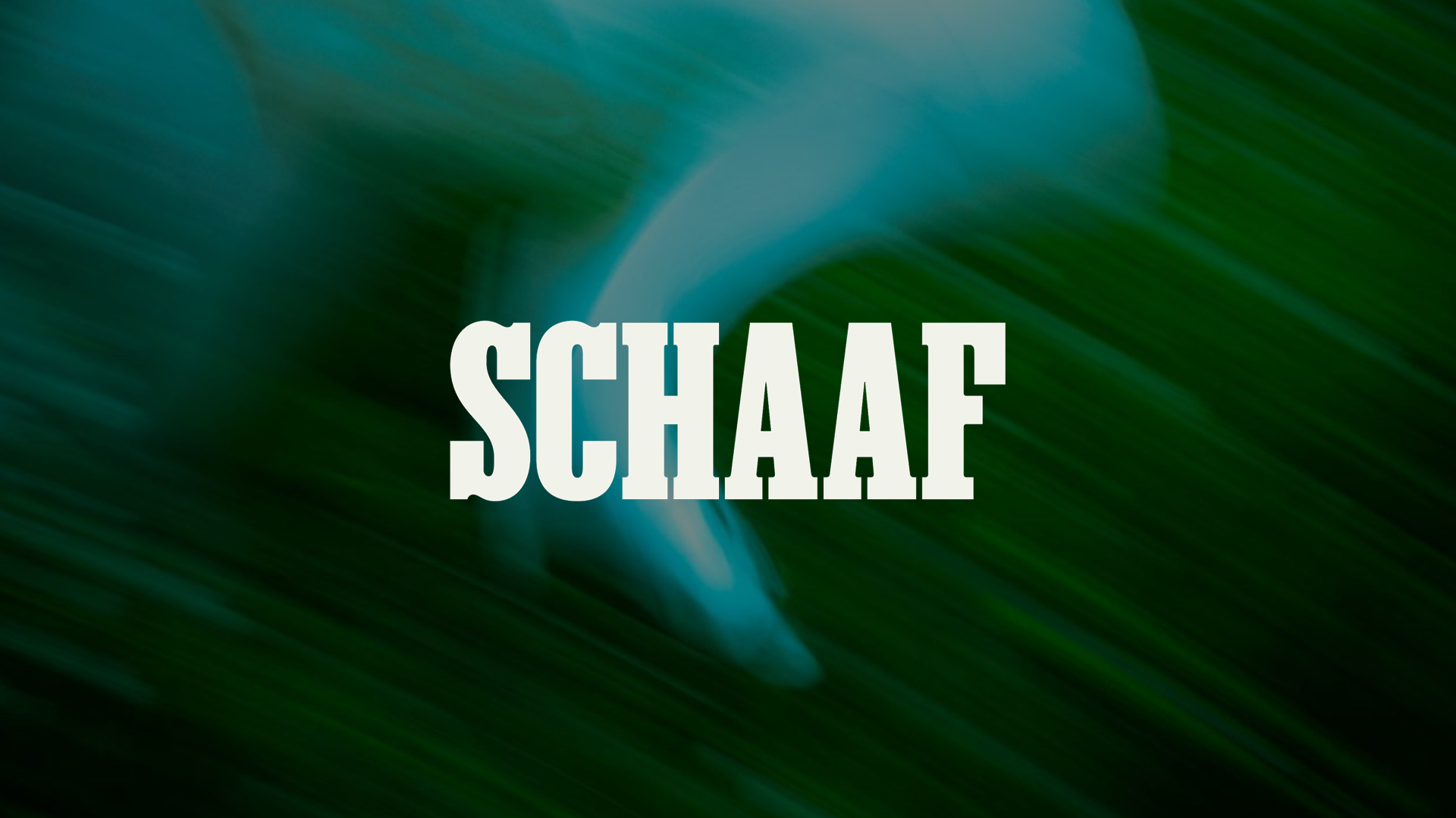 Schaaf